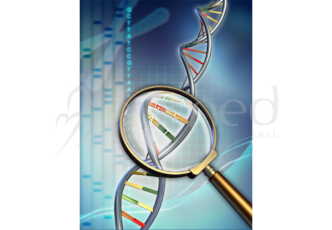 NUGENE Weight, Nutrition & Sport | NUMED