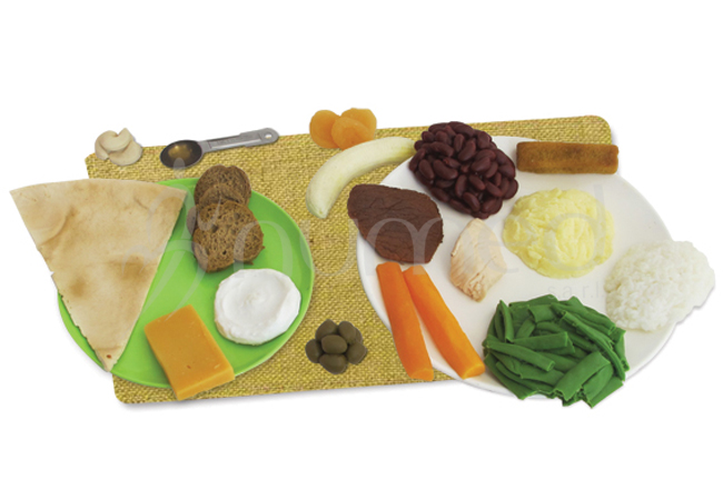 Food Models Kit 1 | NUMED