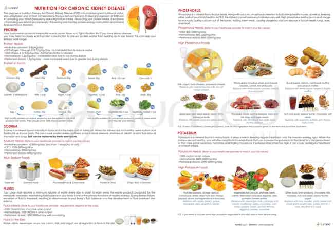 Nutrition for Chronic Kidney Disease Handout (English) | NUMED