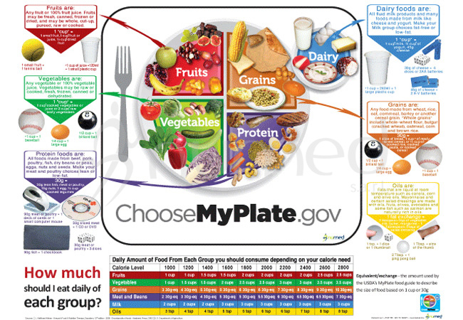 MyPlate Poster (English) | NUMED