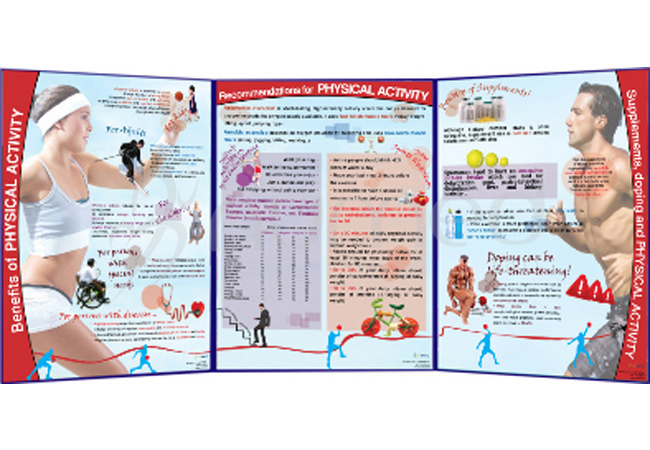 Physical Activity Folding (English) | NUMED