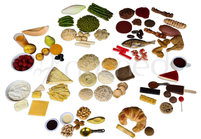 Food Models Kit 6 | NUMED