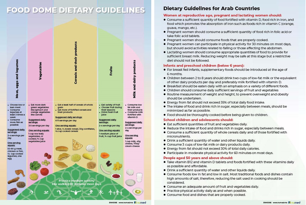Food Dome Dietary Guidelines Handout | NUMED